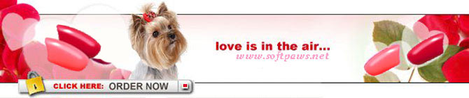 The Dog Health Newsletter: Volume 142